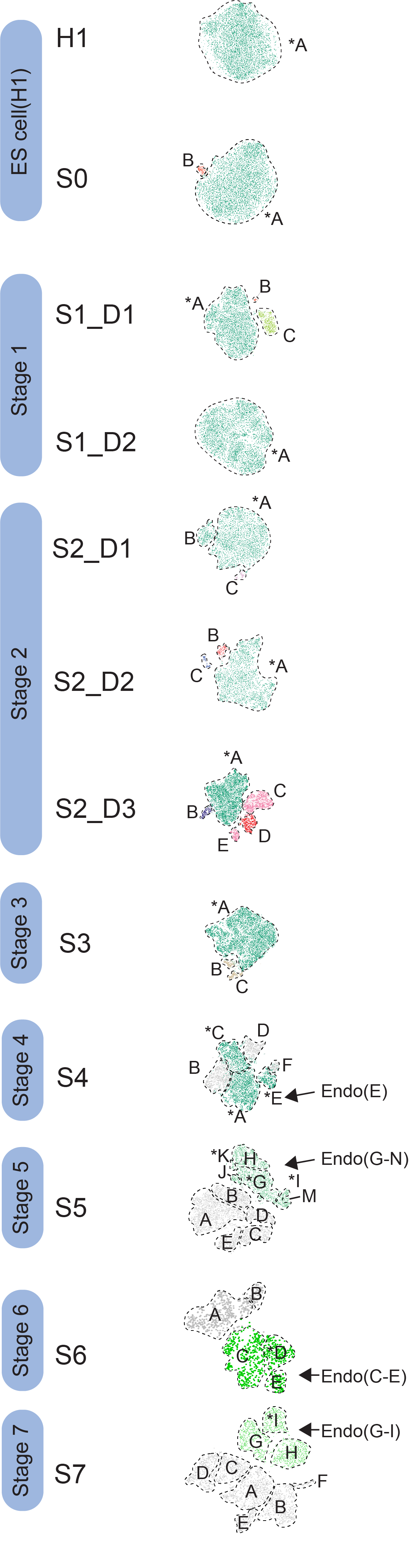 Beta cell Hub